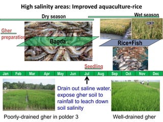 The Ganges Basin Development Challenge: Increasing the resilience of ...