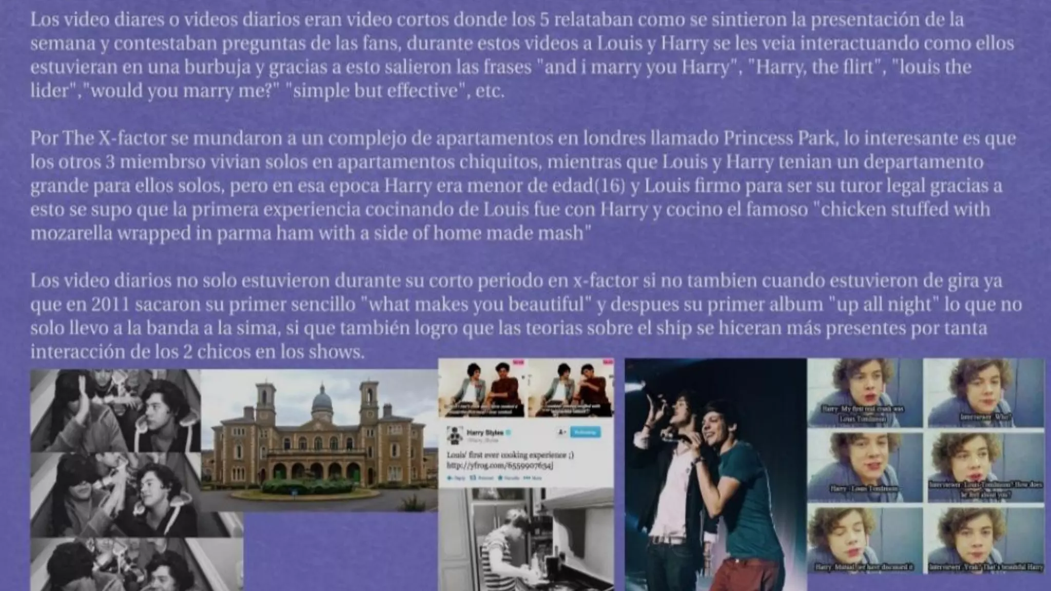 Larry stylinson.pptx