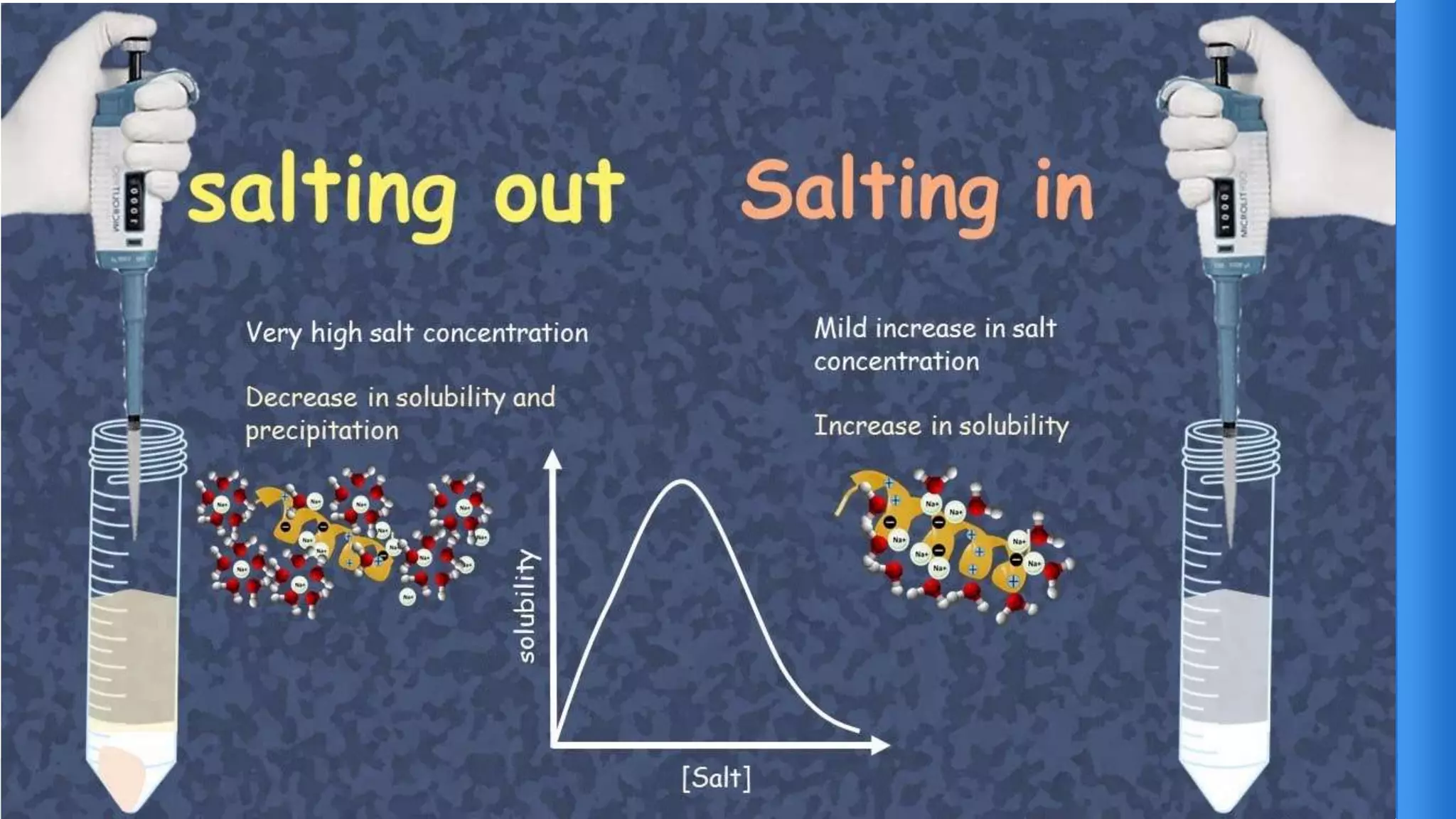 Larutan-Suspension.pptx