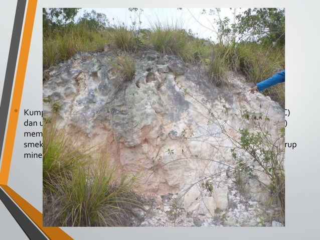 LARUTAN PEMBAWA BIJIH ENDAPAN MINERAL.pptx