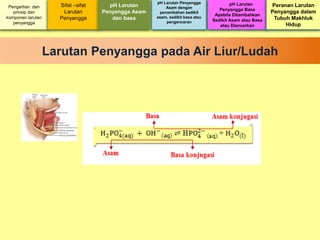 LARUTAN PENYANGGA.pptx