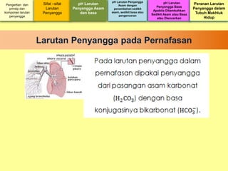 LARUTAN PENYANGGA.pptx