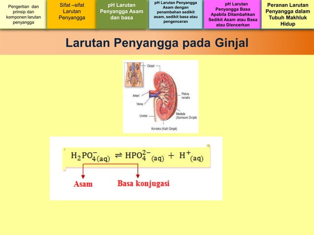 LARUTAN PENYANGGA.pptx
