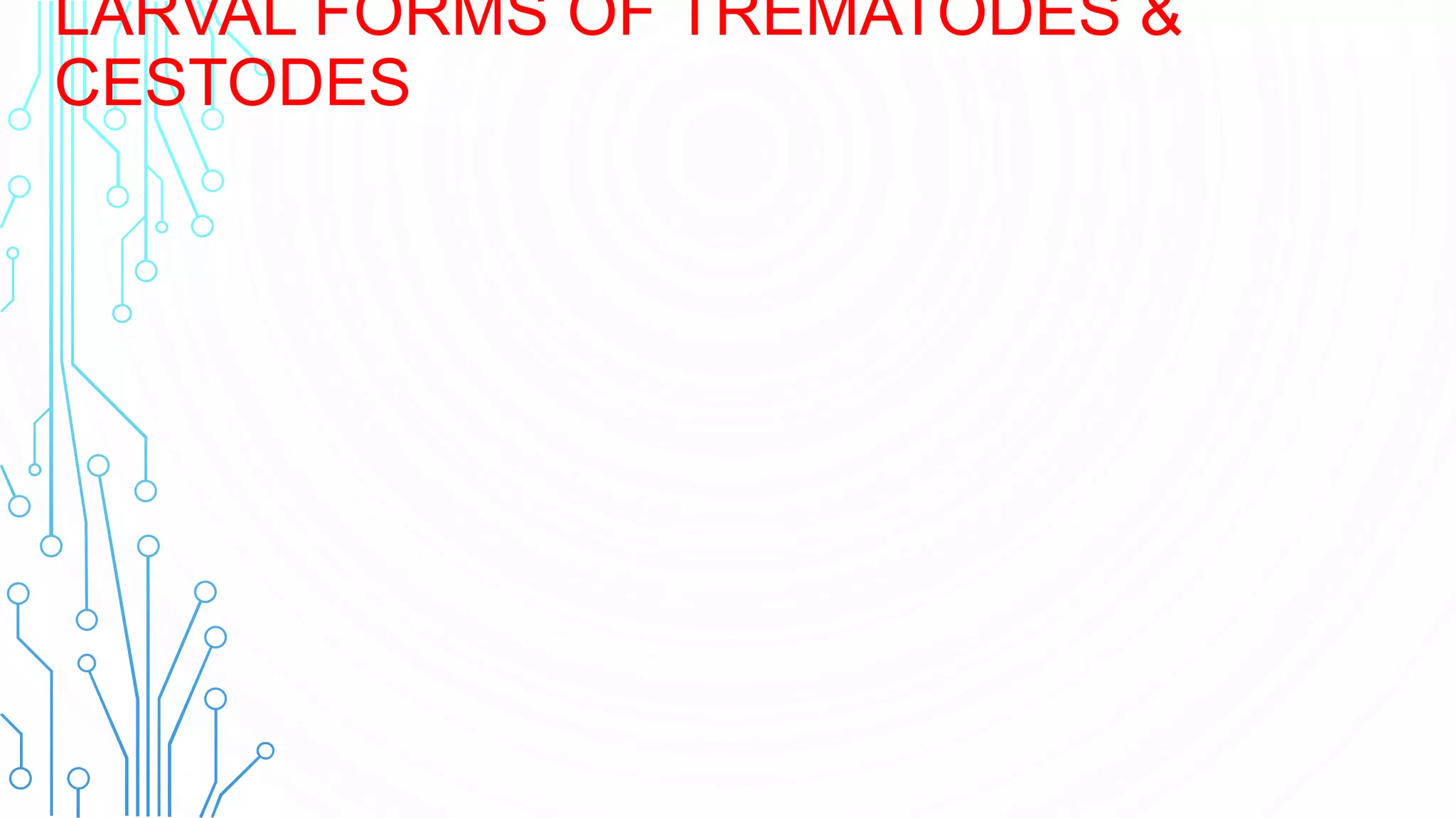 Larval%20forms%20of%20trematodes%20%5e0%20cestodes%20ppt%5e (2).pptx
