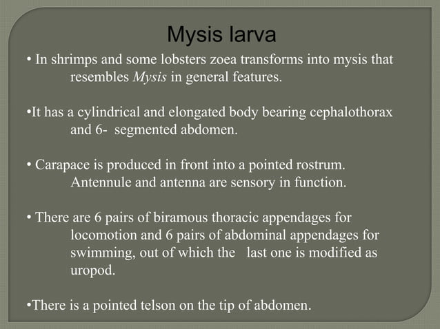 Larval forms and their significance in arthropoda | PPTX