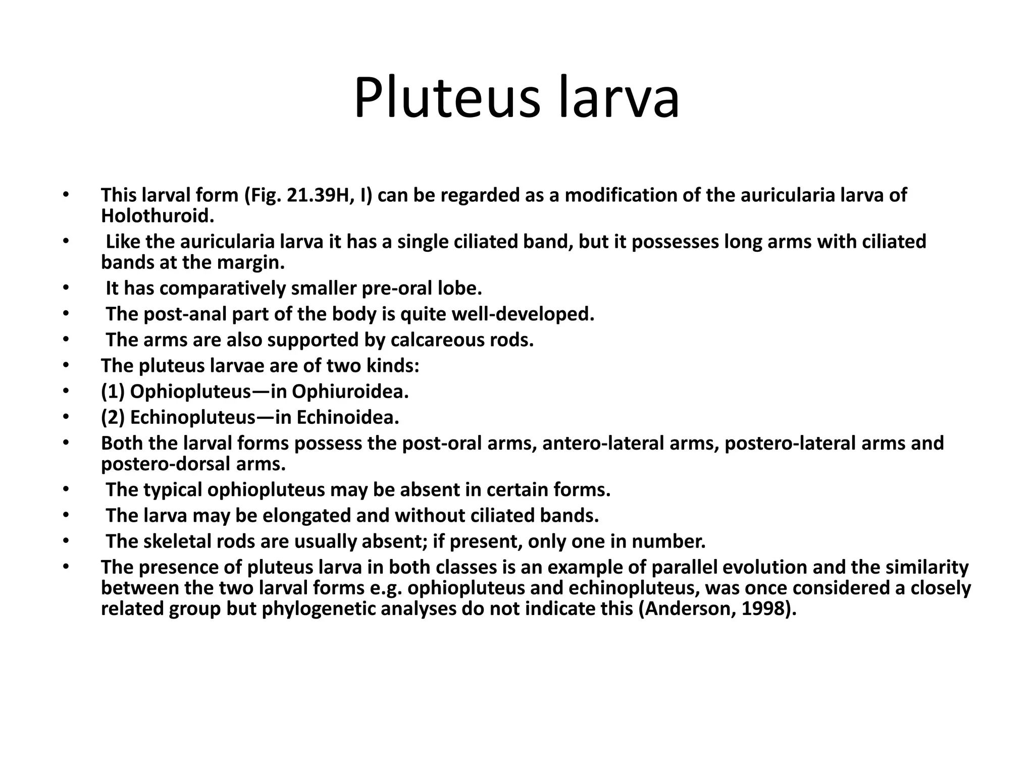 Larval forms in echinodermata | PPTX