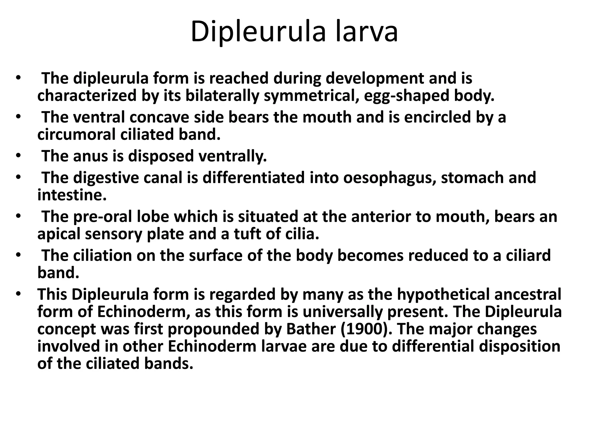 Larval forms in echinodermata | PPTX