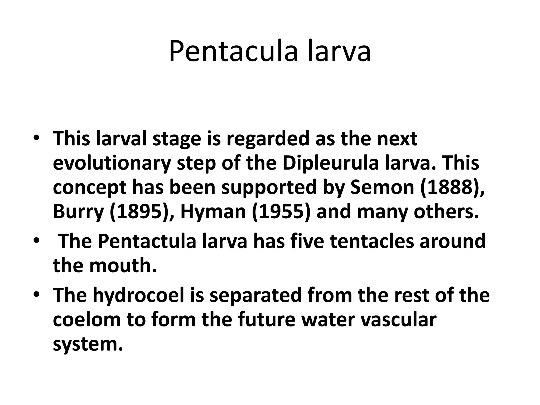 Larval forms in echinodermata | PPTX