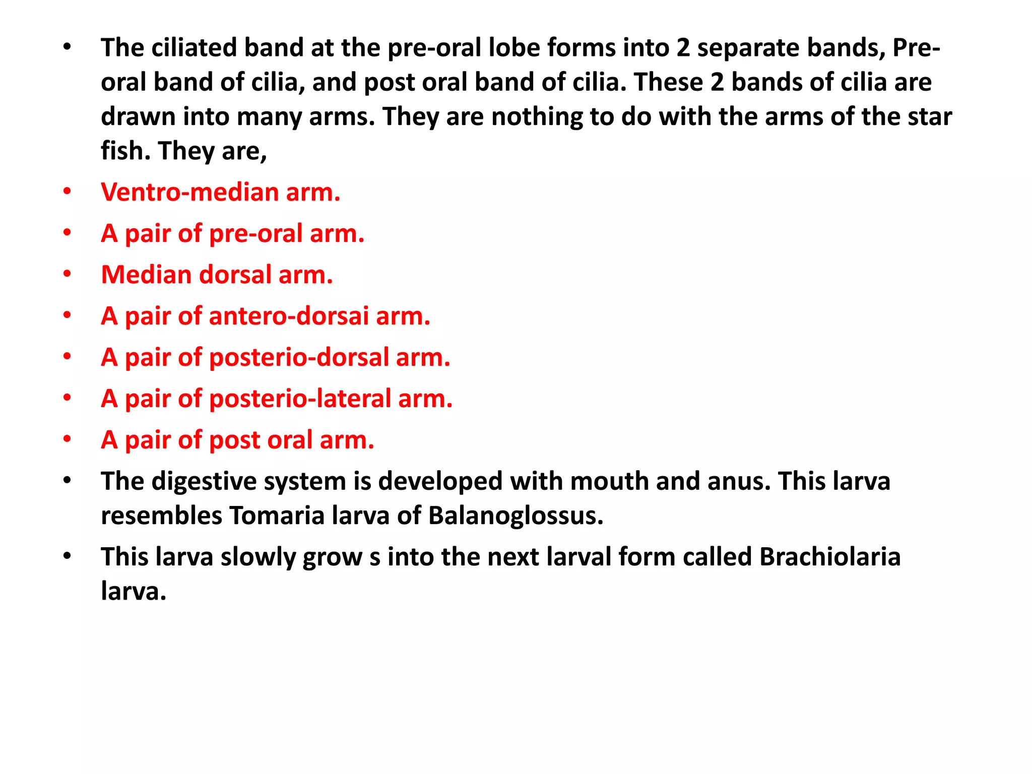 Larval forms in echinodermata | PPTX
