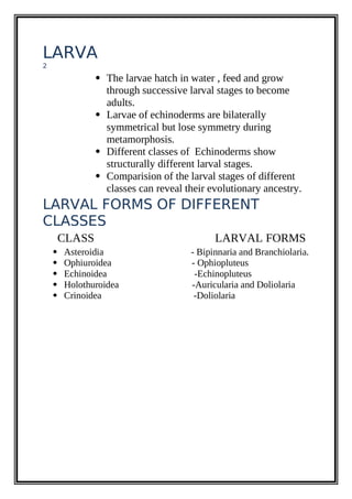 Larval forms of echinoderms | PDF