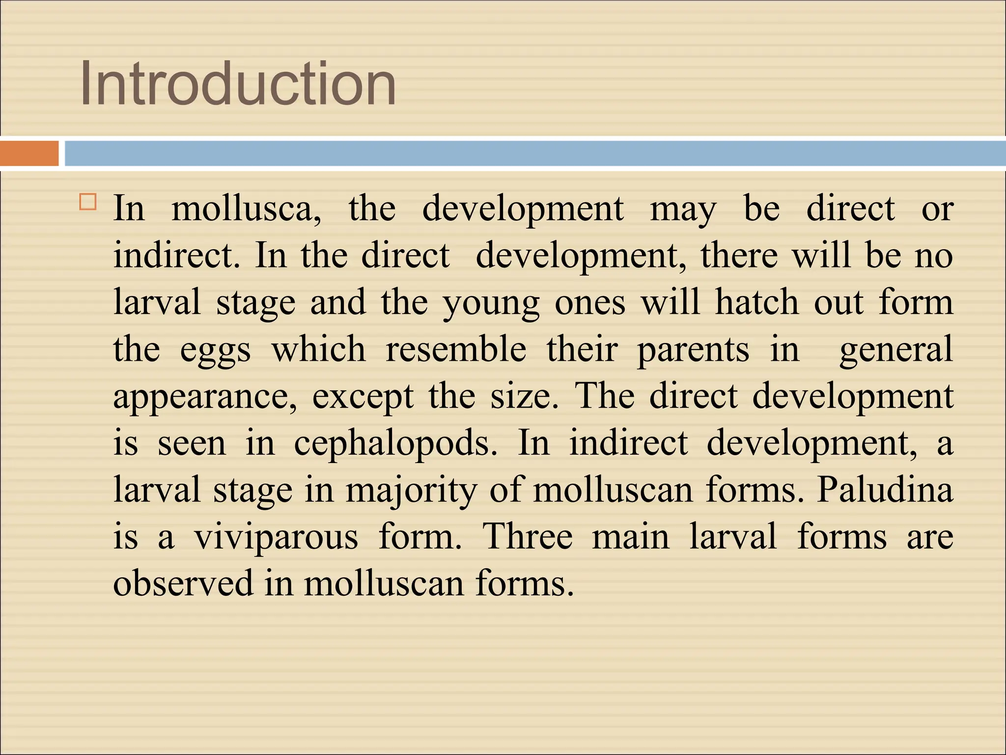Phylum Mollusca: Larval forms with structure | PPT