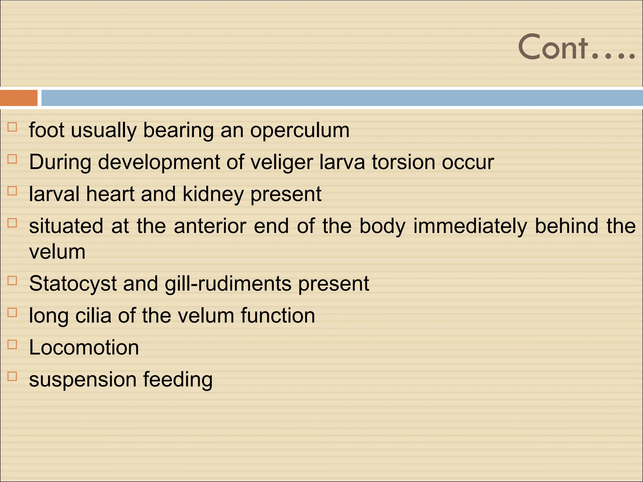 Phylum Mollusca: Larval forms with structure | PPT