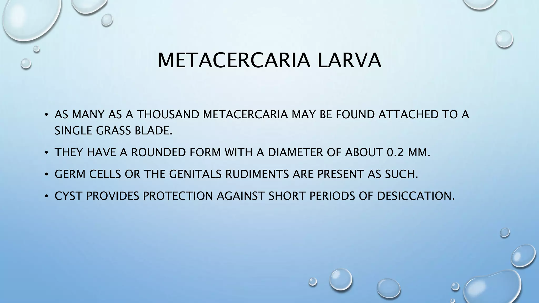 Larval forms of trematodes sj | PPTX