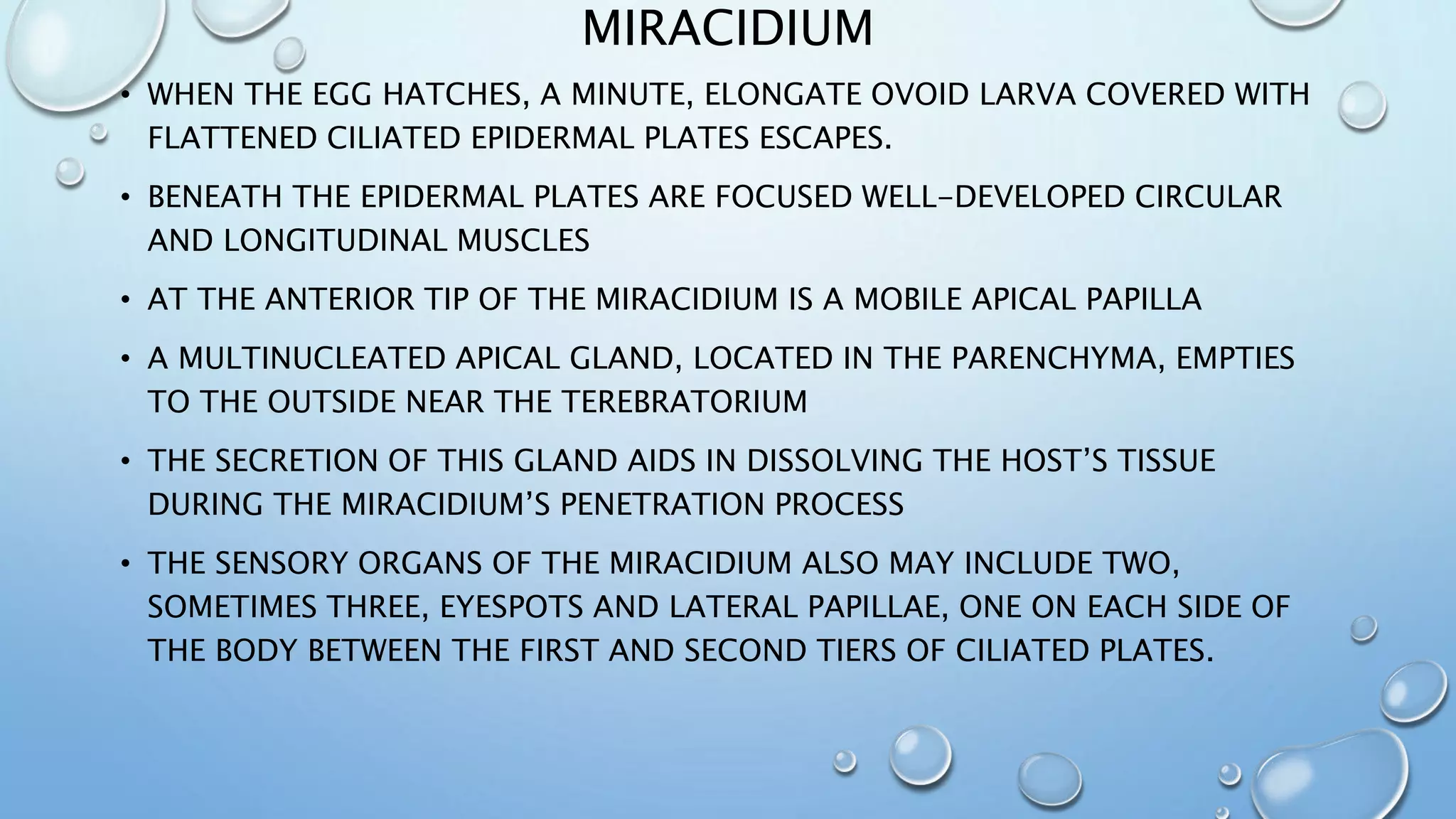 Larval forms of trematodes sj | PPTX