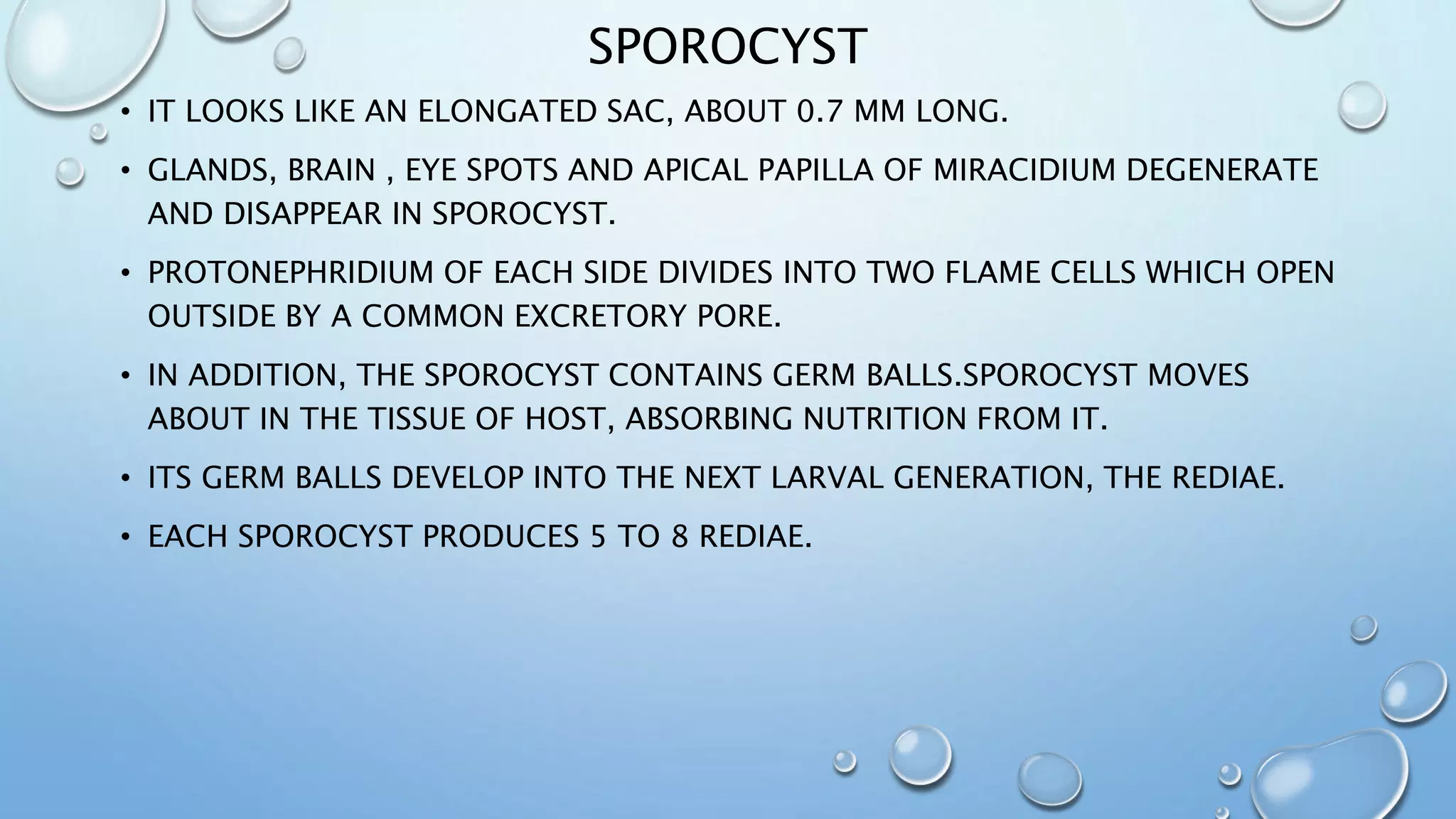 Larval forms of trematodes sj | PPTX