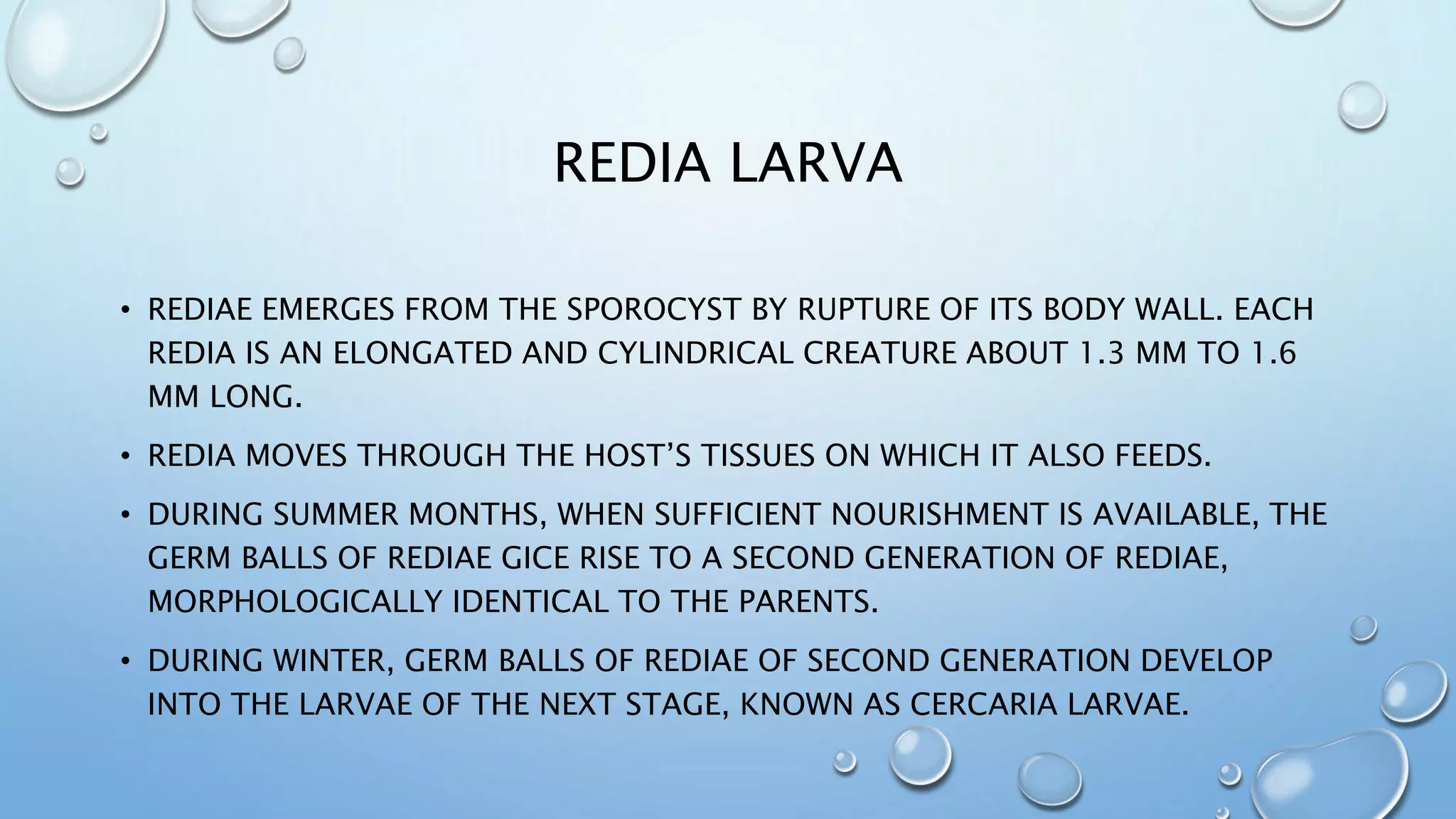 Larval forms of trematodes sj | PPTX