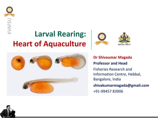 Larval Rearing: Heart of Aquaculture | PDF