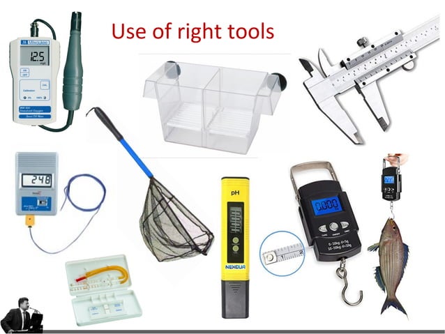 Larval Rearing: Heart of Aquaculture | PDF