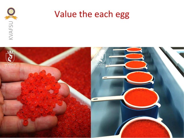 Larval Rearing: Heart of Aquaculture | PDF