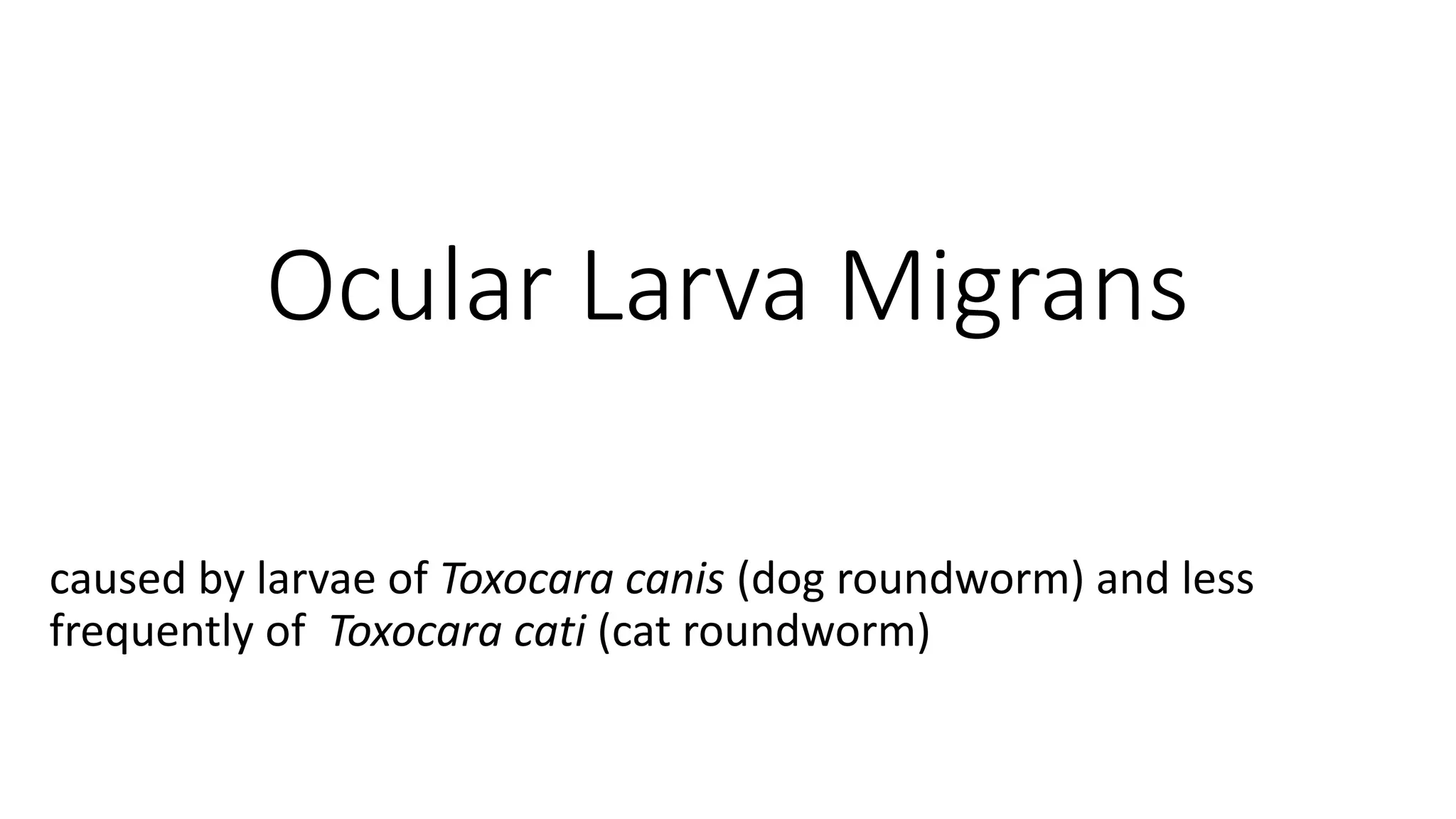 Larva migrans | PPTX