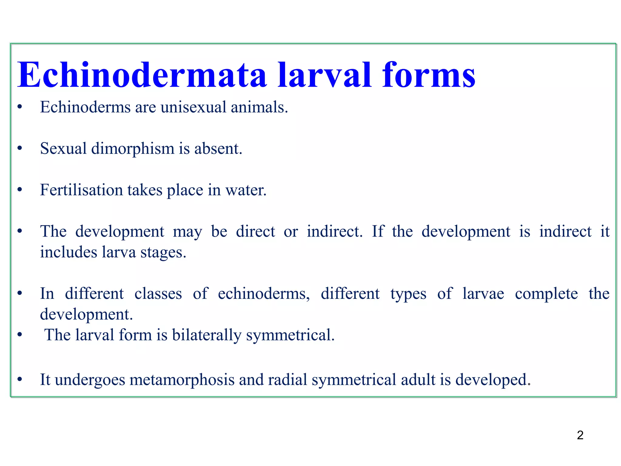 study of Larval form of Eechinodermata | PPT