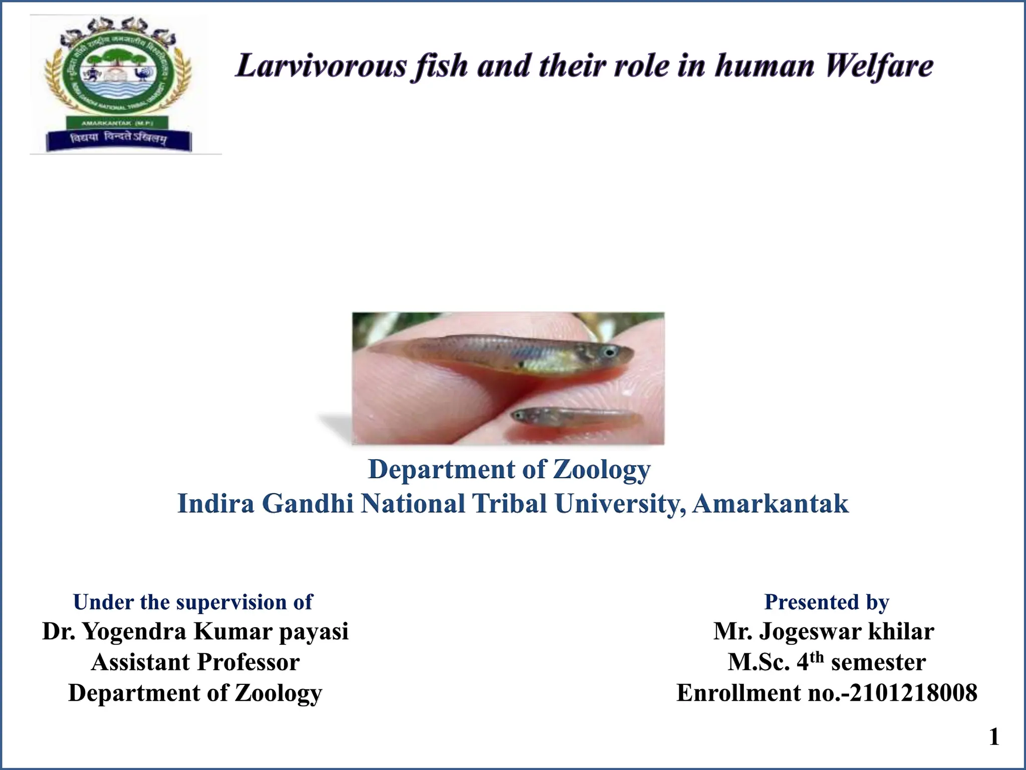 Larvivorous fish and their role in human Welfare.pptx
