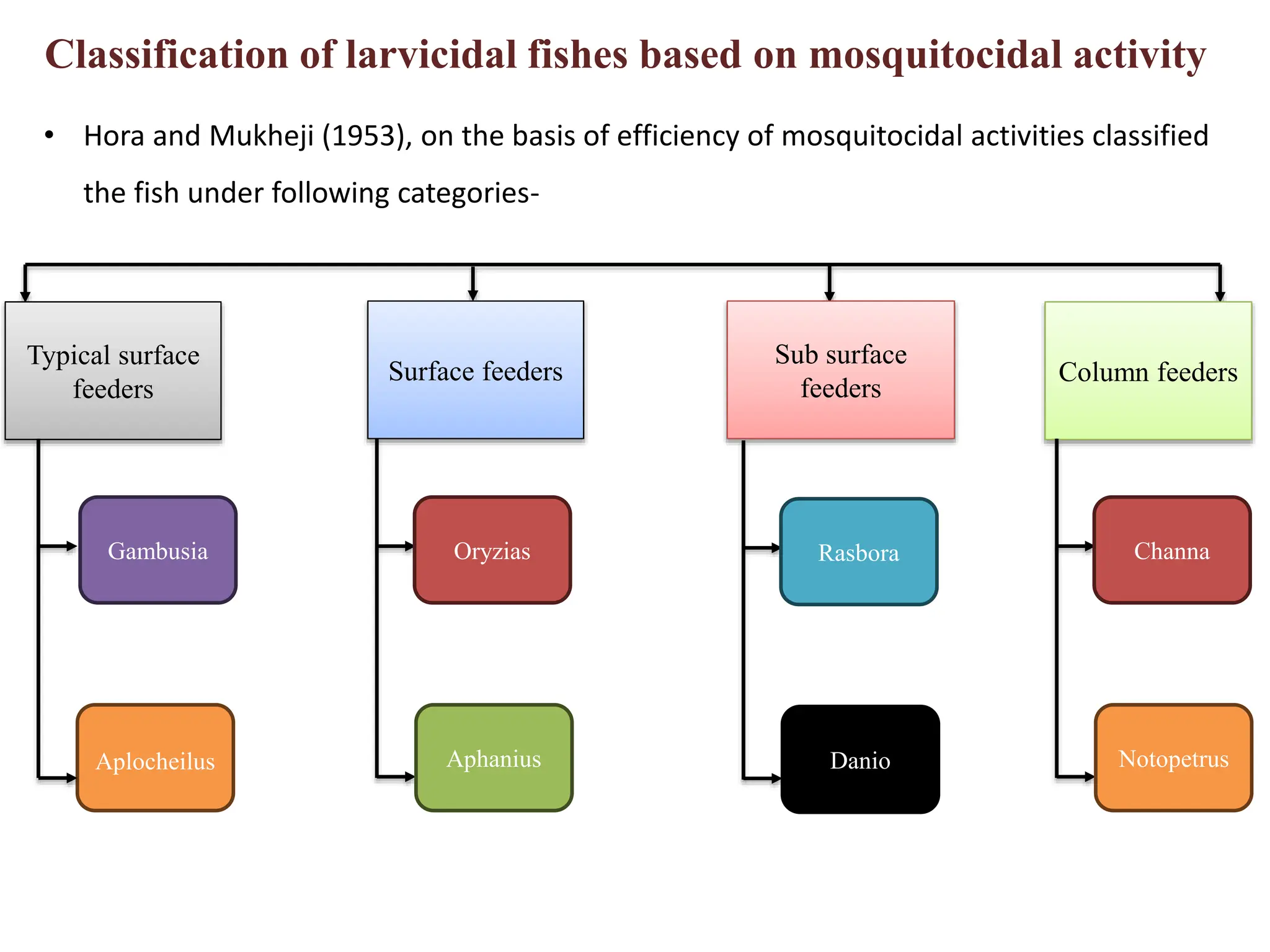 Larvivorous fish and their role in human Welfare.pptx