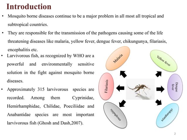 Larvivorous fish and their role in human Welfare.pptx | Infectious ...