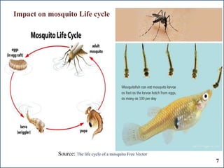Larvivorous fish and their role in human Welfare.pptx