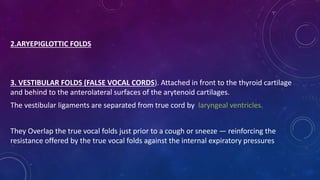 Laryngeal carcinoma Imaging | PPTX