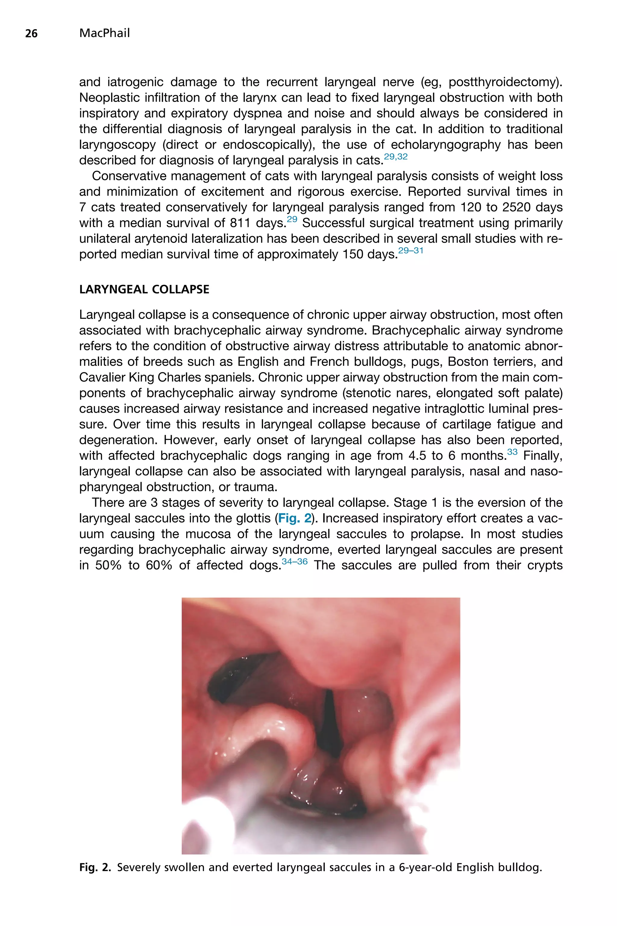 Laryngeal Disease.pdf