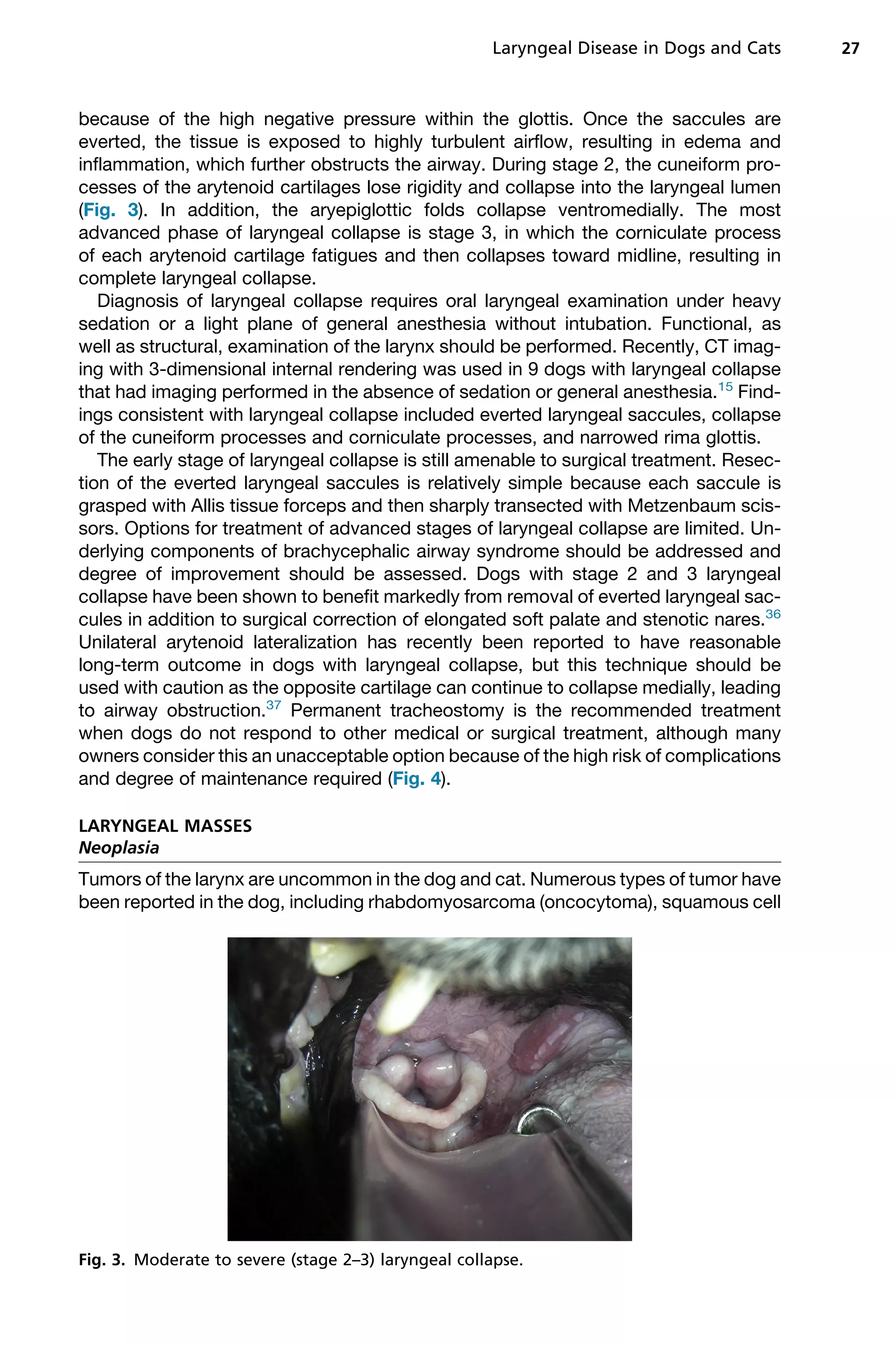 Laryngeal Disease.pdf