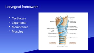Laryngeal framework surgery and thyroplasty.pptx