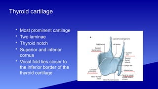 Laryngeal framework surgery and thyroplasty.pptx