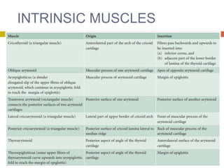 Laryngeal Muscles | PPTX