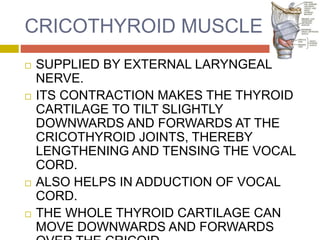 Laryngeal Muscles | PPTX
