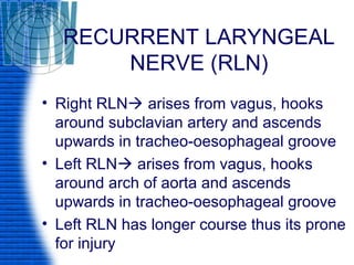 Recurrent Laryngeal Nerve Palsy