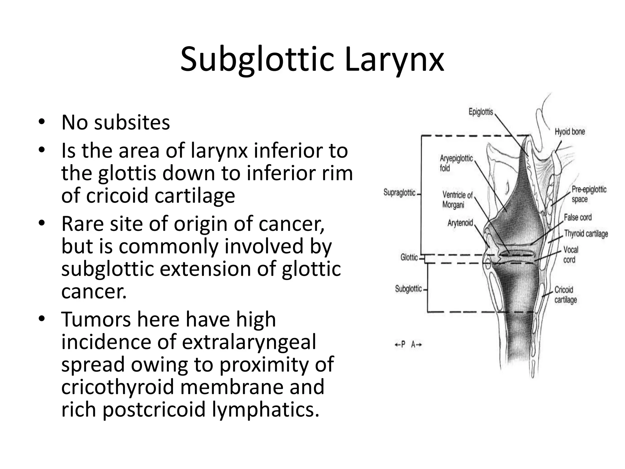 Laryngeal surgeries | PPTX