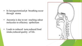 Laryngectomy and post laryngectomy rehabilitation | PPTX