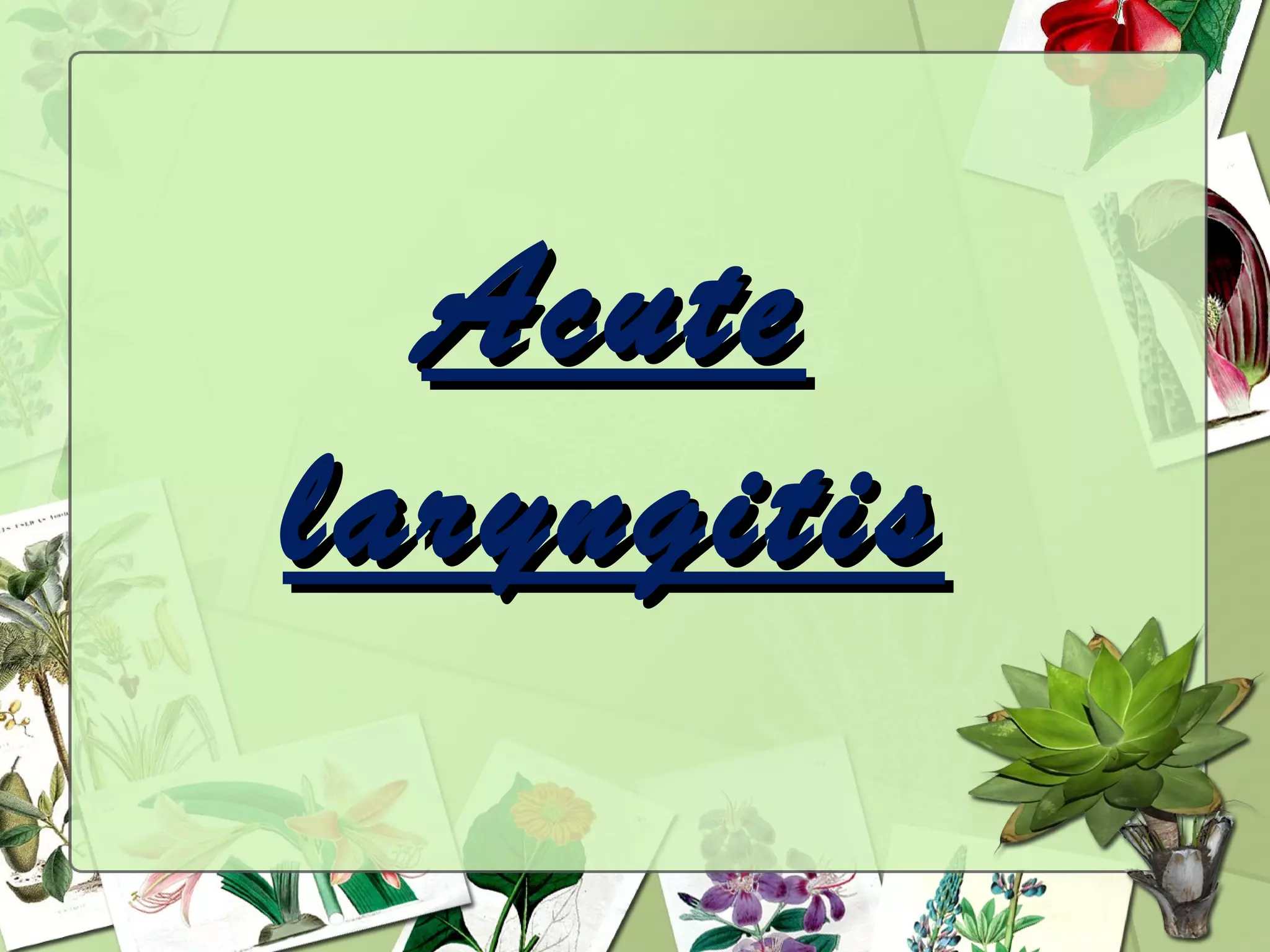 Laryngitis Ppt