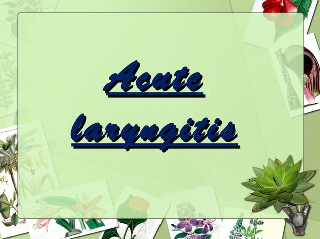Laryngitis | PPT | Ear, Nose and Throat Conditions | Diseases and ...