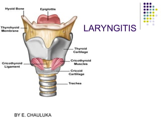 Nursing management of patients with laryngitis | PPT