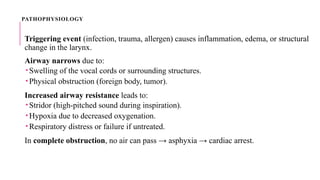 disorders of larynx laryngitis in adults | PPTX