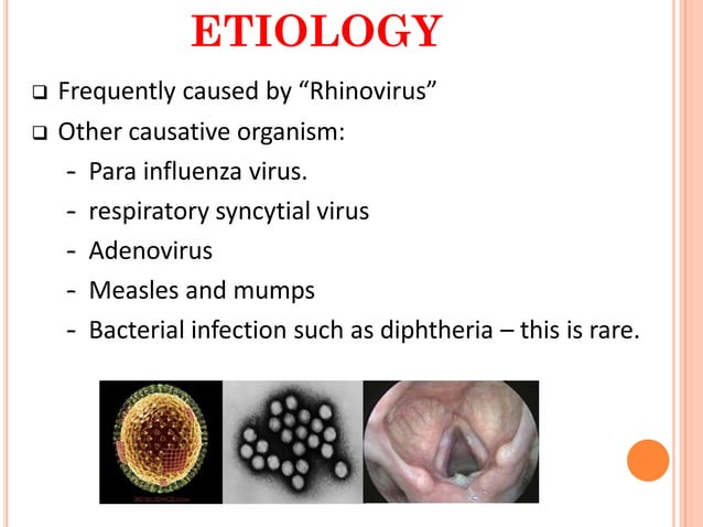 Laryngitis | PDF | Lung and Respiratory Health | Diseases and Conditions