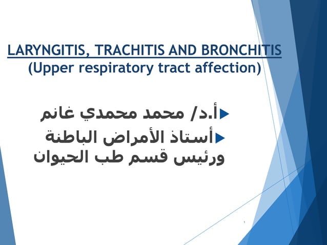 Laryngitis, trachitis and bronchitis equine | PPT