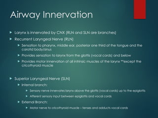 Laryngospasm by Mari-Alina Timoshchuk.pptx