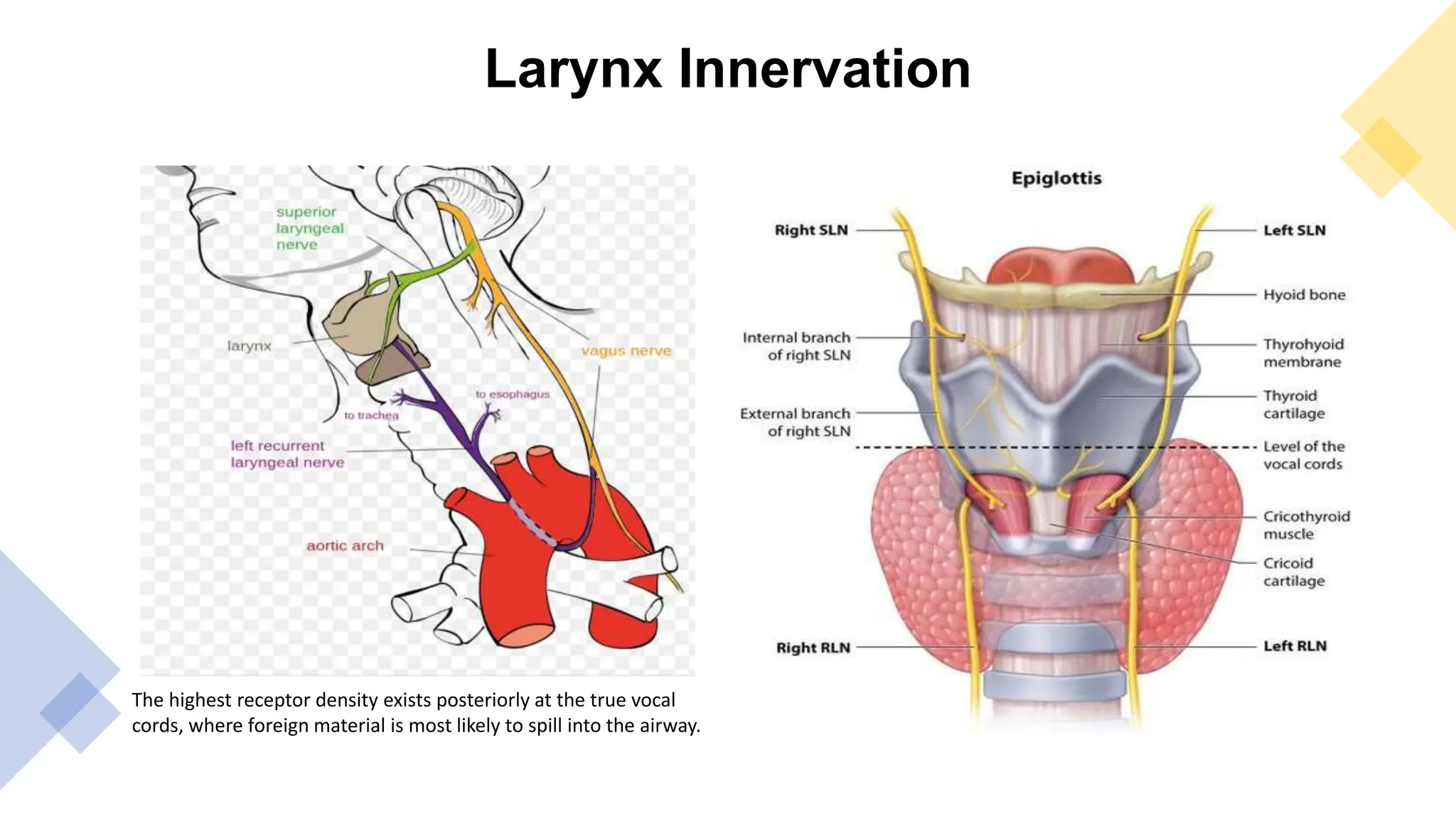 Laryngospasm Presentation.pptx By Ak (Anesthesia ) | PPTX