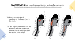 Laryngospasm Presentation.pptx By Ak (Anesthesia ) | PPTX