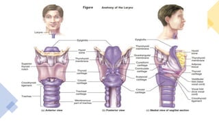 Laryngospasm Presentation.pptx By Ak (Anesthesia ) | PPTX