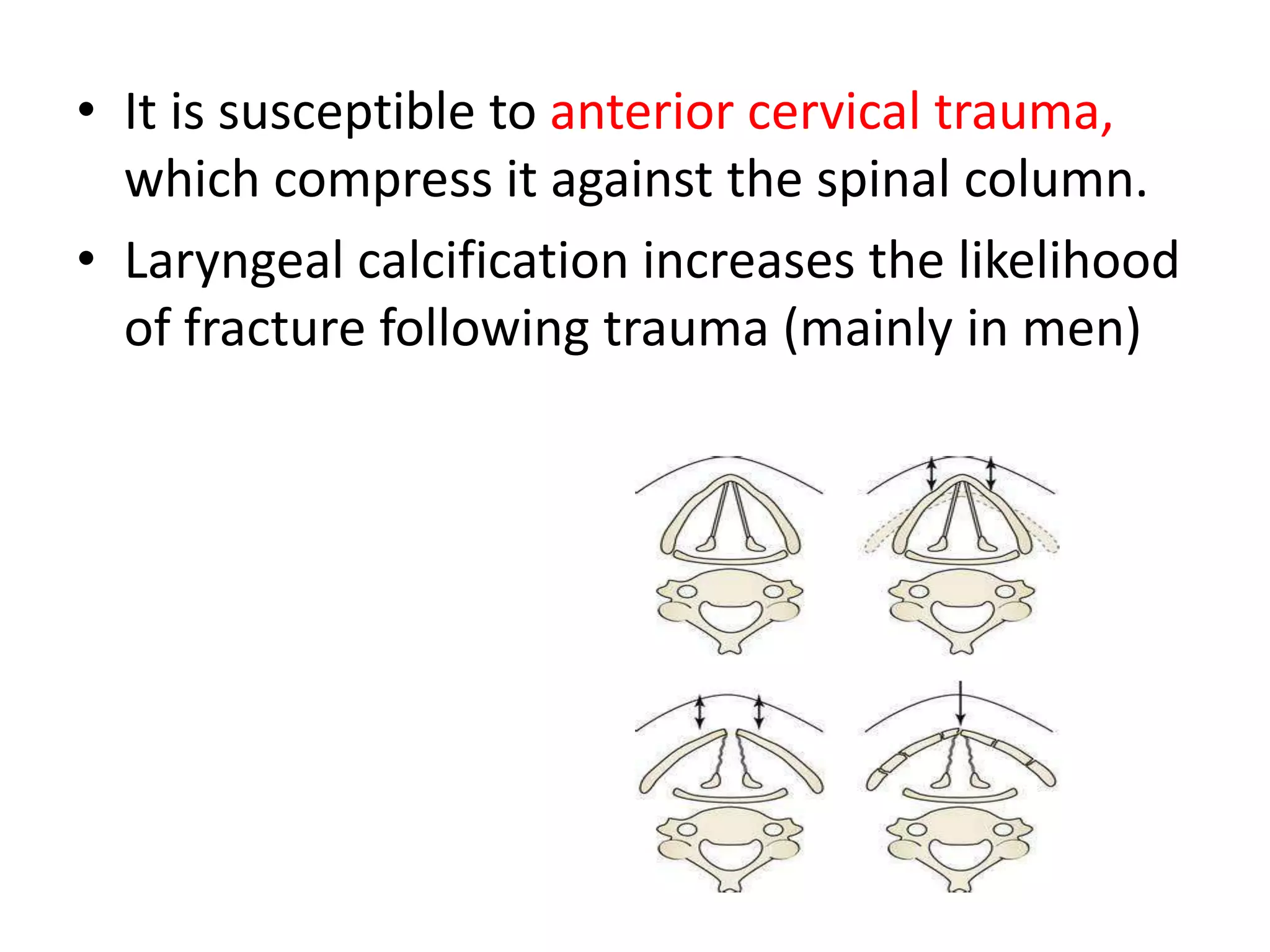 Laryngotracial trauma with anatomy and management | PPTX